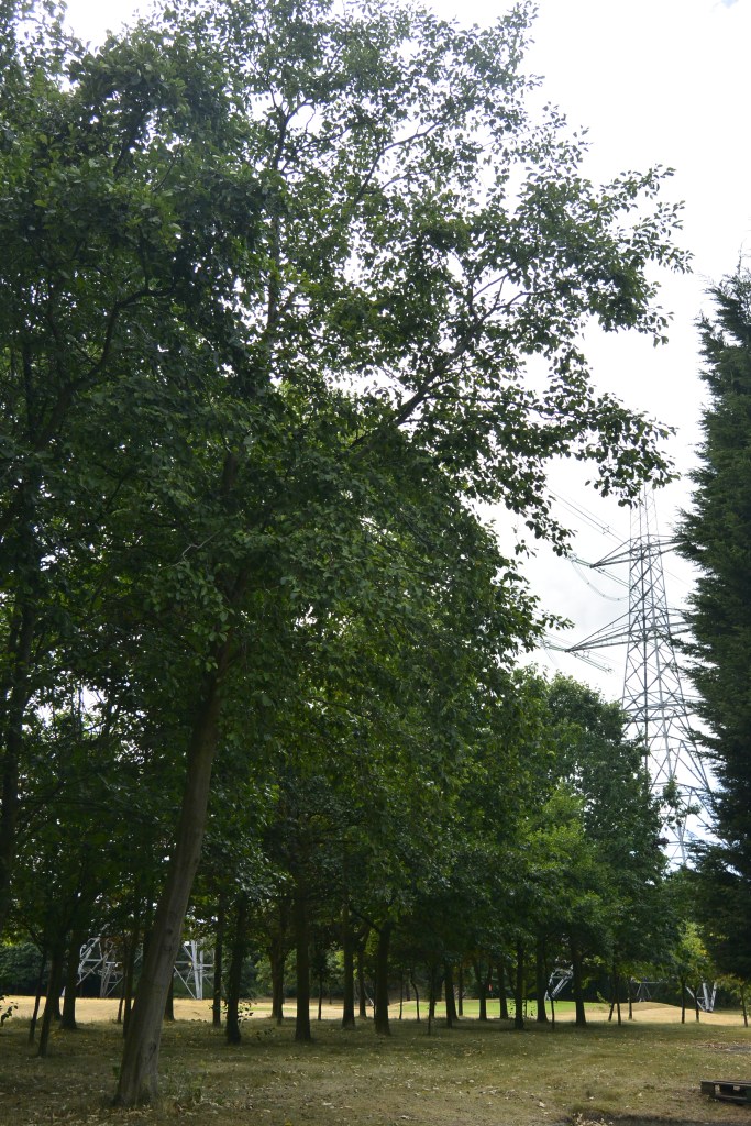 Landscape and Power – The Landscape and Architecture of Post-War ...